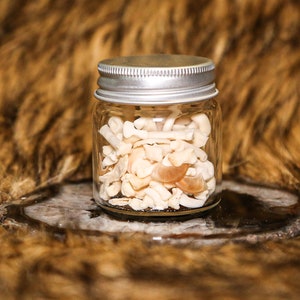 Raccoon Paw Bone Jar - Etsy