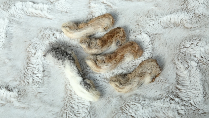 Real Dry- Preserved Craft Rabbit Feet - Etsy