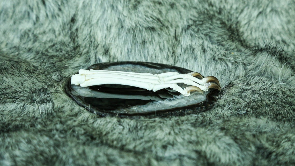 Red Fox Paw Articulation - Etsy