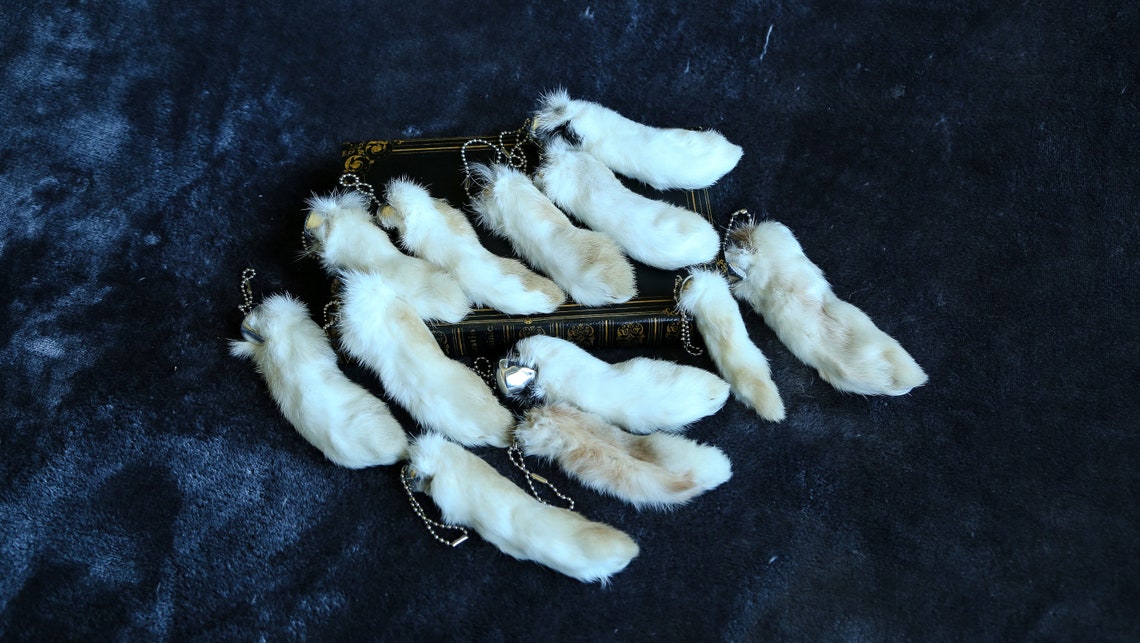 Real Lucky Rabbit Feet Back | Etsy