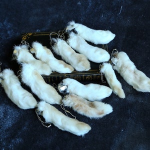 Real Lucky Rabbit Feet Back | Etsy