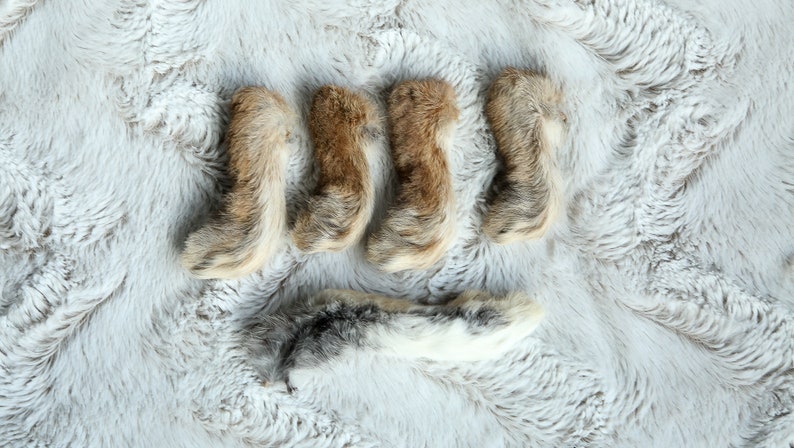 Real Dry- Preserved Craft Rabbit Feet - Etsy