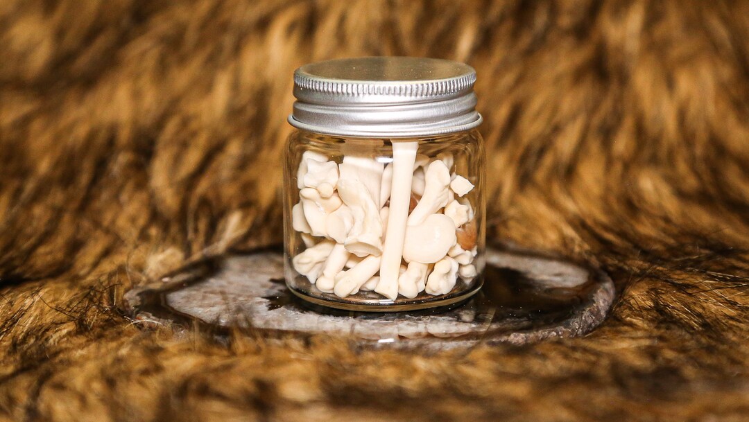 Raccoon Paw Bone Jar - Etsy