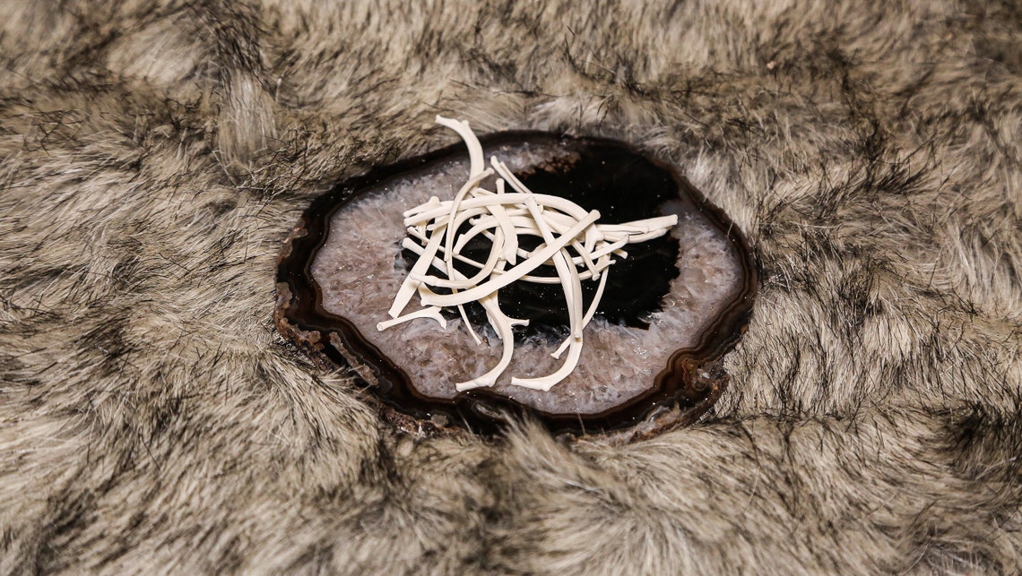 Real Rabbit Rib Bone Lot - Etsy