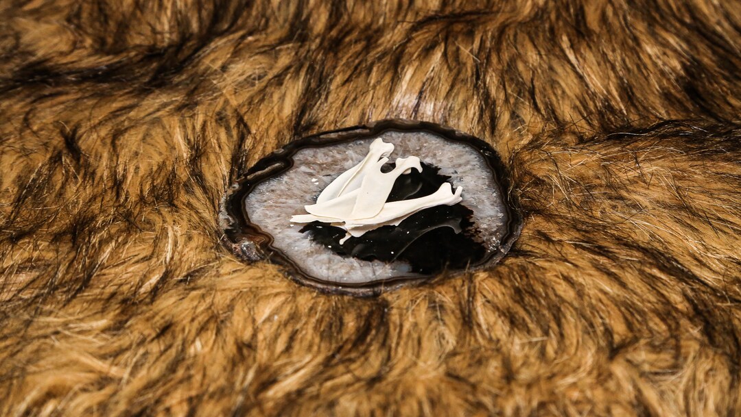 Rabbit - Scapula Set of 3 - Craft Grade - Etsy