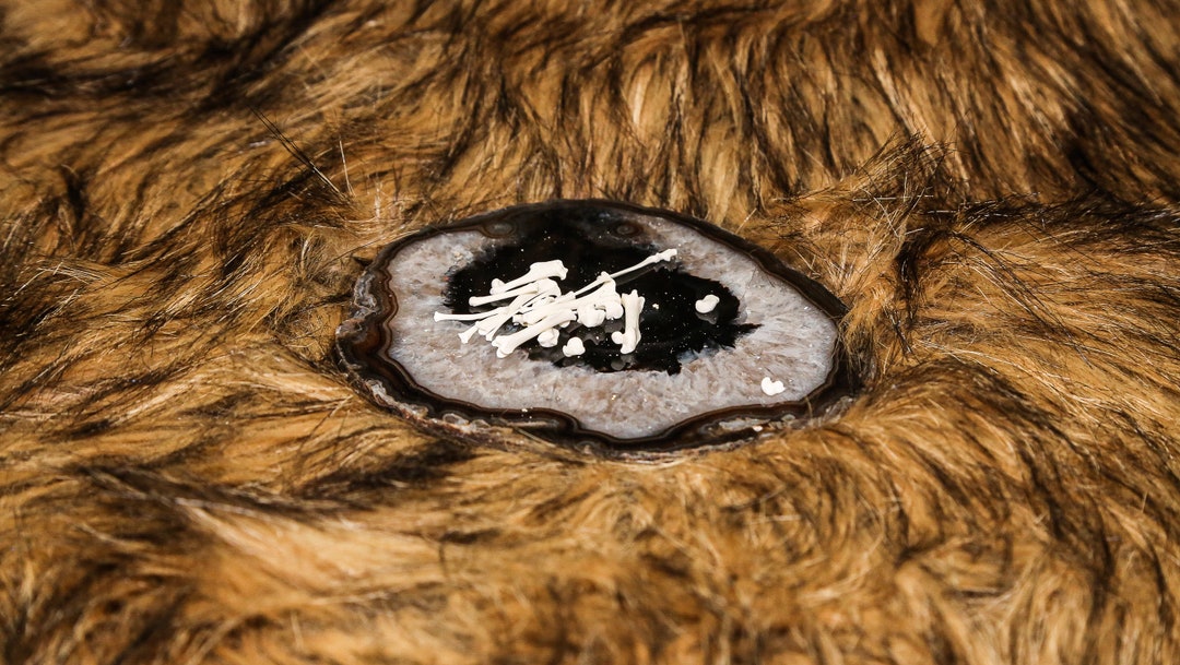 Domestic Rat Leg Bone LOT - Etsy