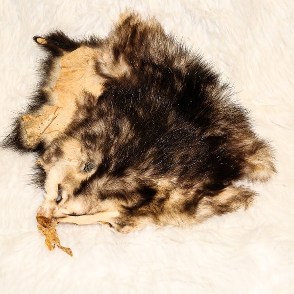 Opossum Fursuit - Etsy