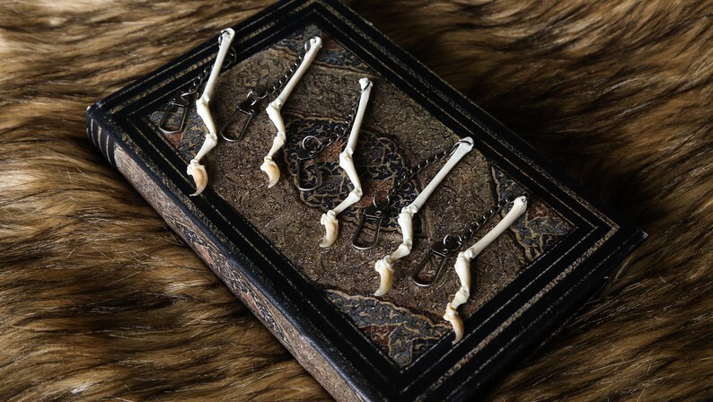 Fox Toe Bone Keychain - Etsy