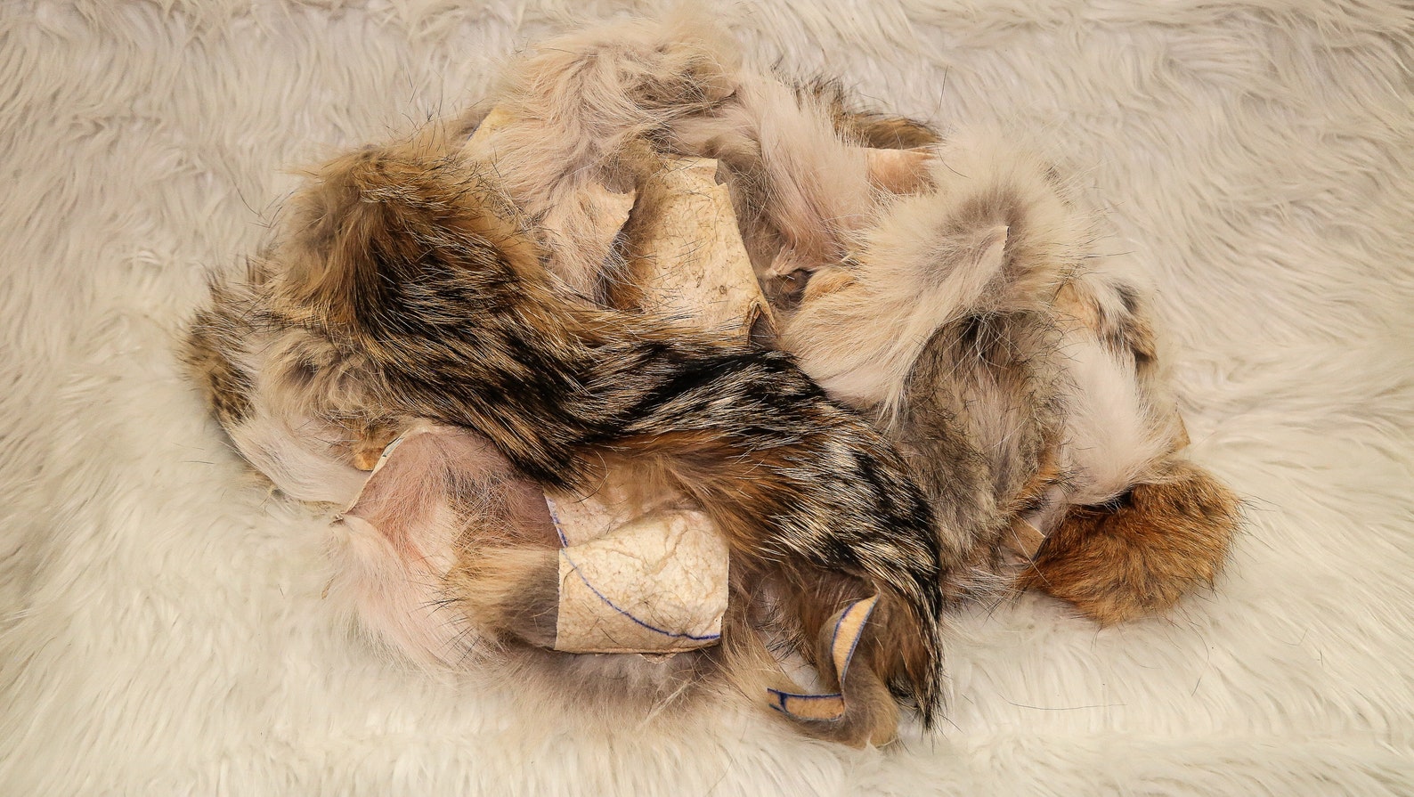Coyote Scrap Fur Pieces - Etsy
