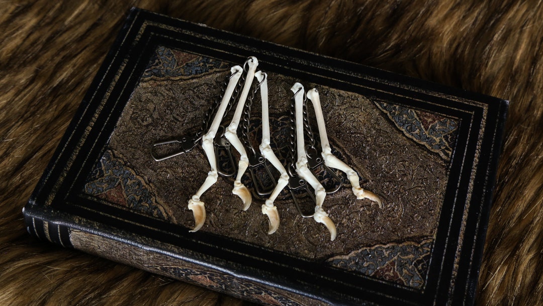 Fox Toe Bone Keychain - Etsy