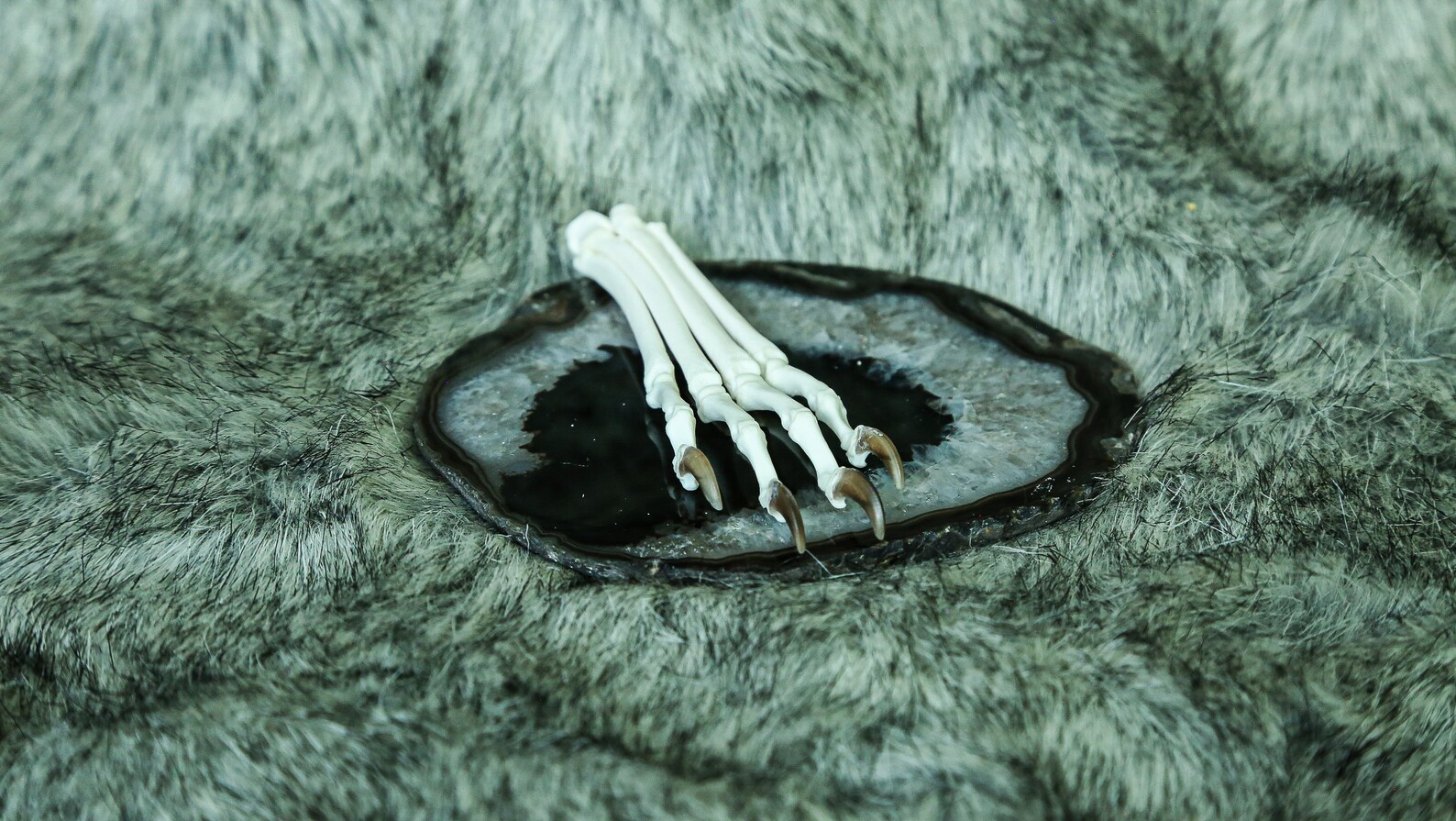 Red Fox Paw Articulation - Etsy