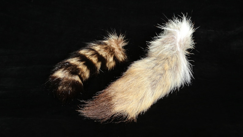 Real Tails Keychains - Etsy