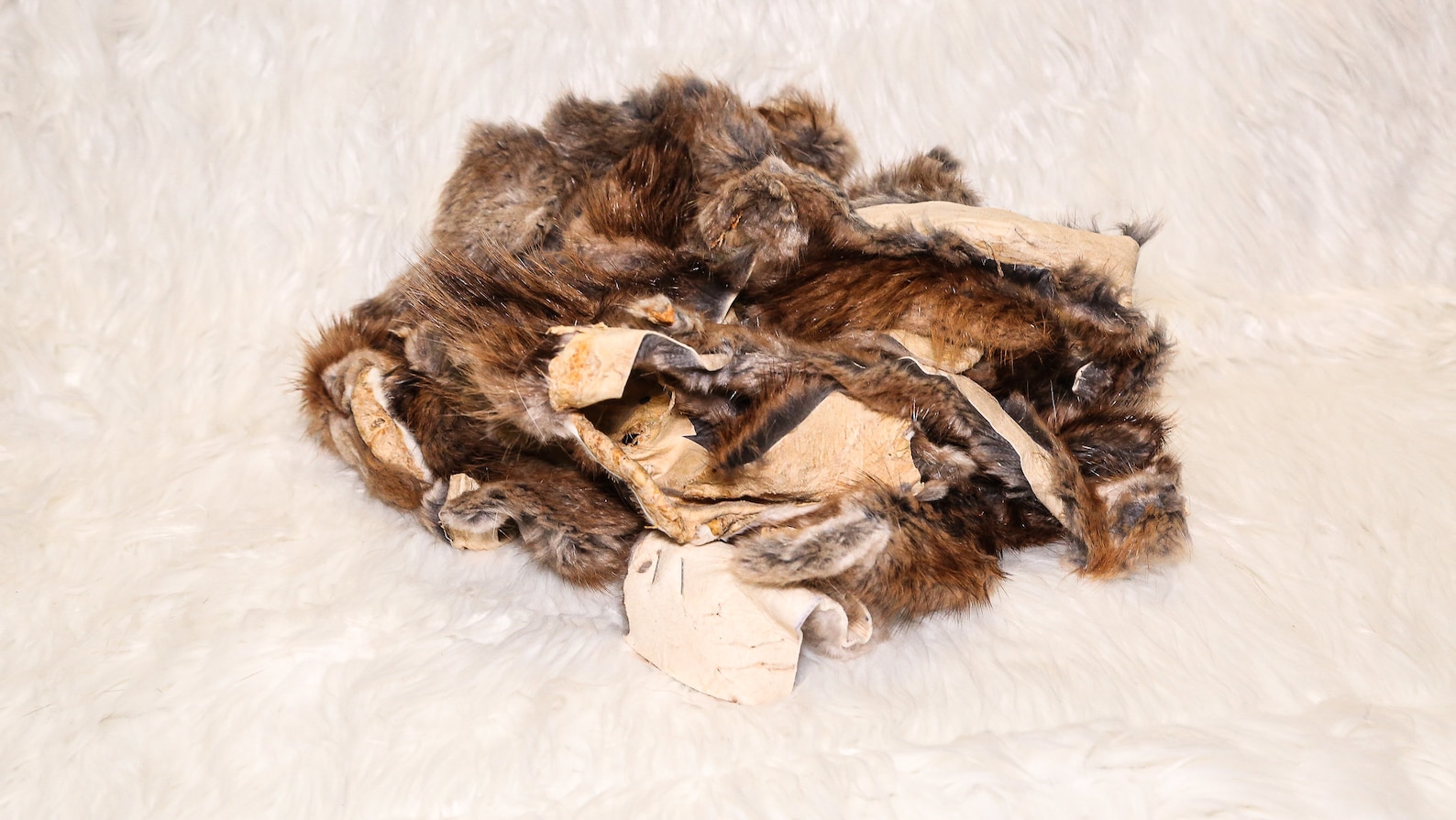 Muskrat Scrap Fur Pieces - Etsy