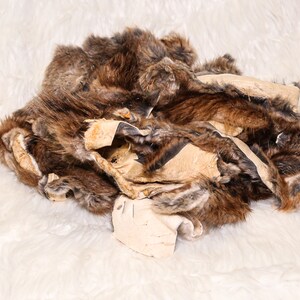 Muskrat Scrap Fur Pieces - Etsy