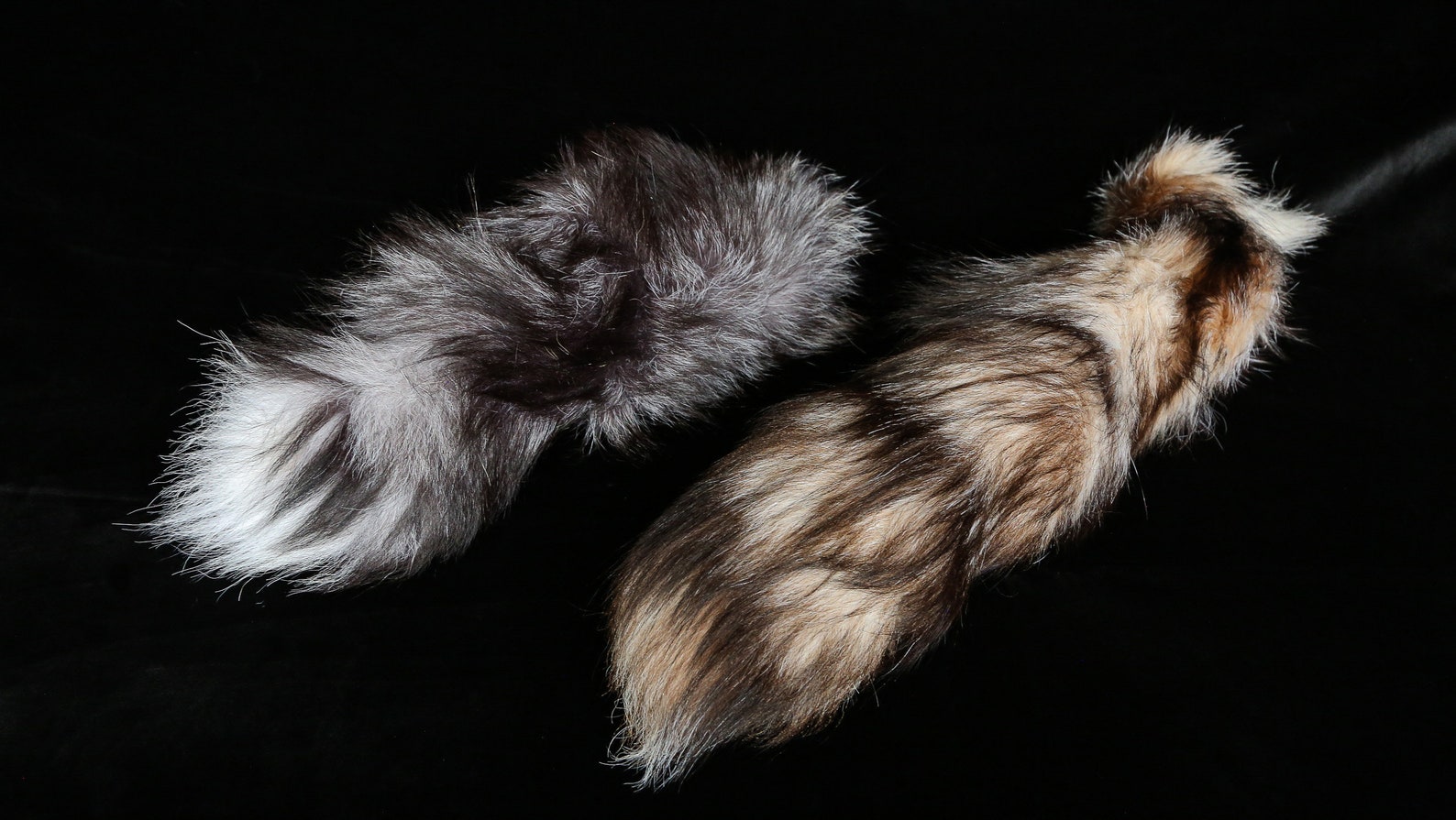 Real Tails Keychains - Etsy