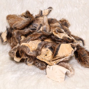 Muskrat Scrap Fur Pieces - Etsy