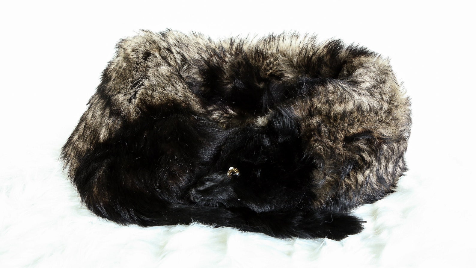 1930's 1940's Antique Fox Stole Vintage - Etsy