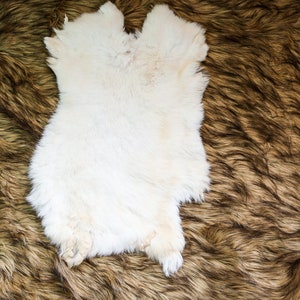 Real WHITE Craft Grade Rabbit Pelt - Etsy