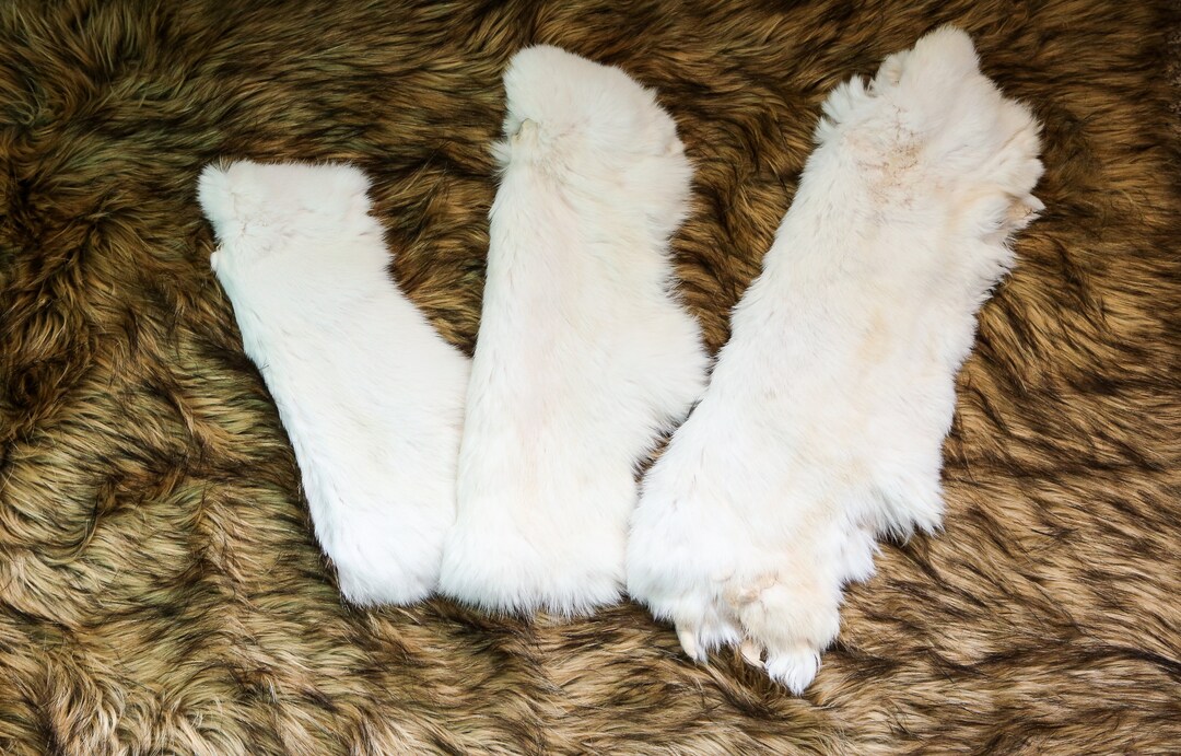 Real WHITE Craft Grade Rabbit Pelt - Etsy