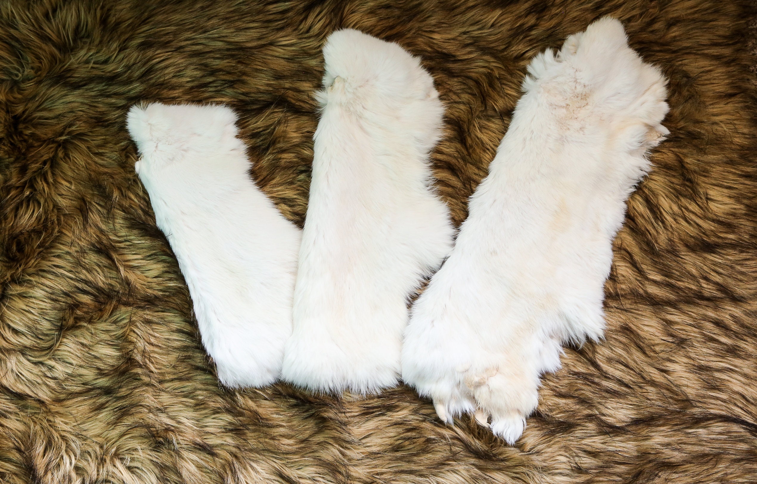 Real WHITE Craft Grade Rabbit Pelt - Etsy