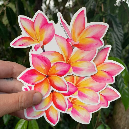 Plumeria Flower Sticker Water Bottle Sticker Macbook - Etsy