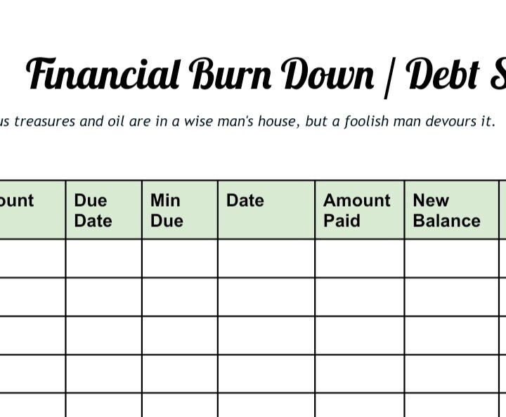 Printable Financial Burn Down / Debt Snowball / Bill Pay Sheet With ...