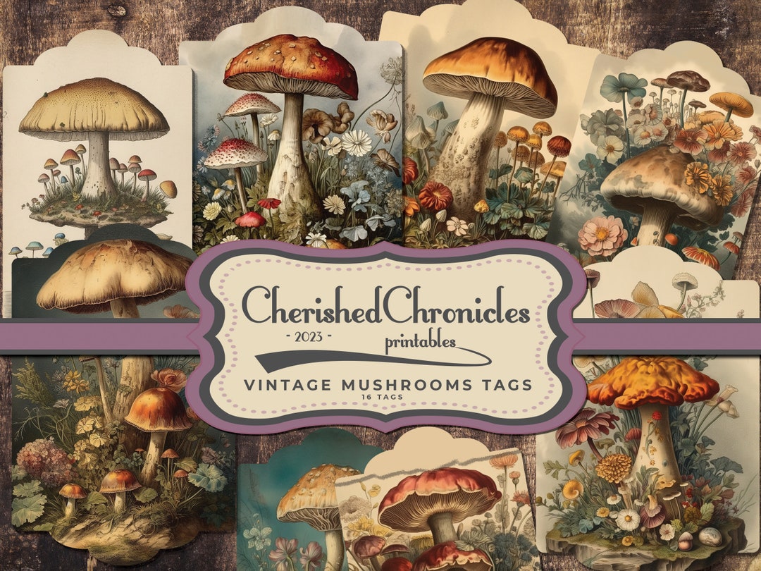 16 Vintage-style Fungi Tags, Woodland Journal Inserts, Printable ...