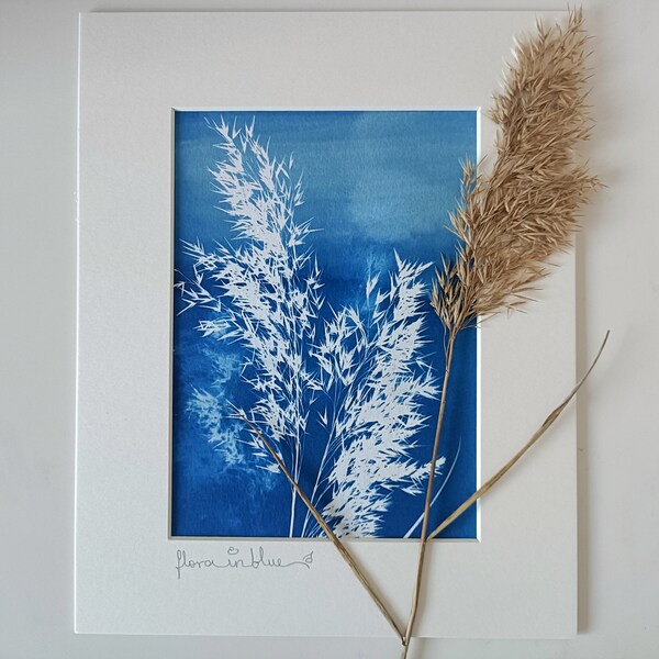 Cyanotype Print - Etsy