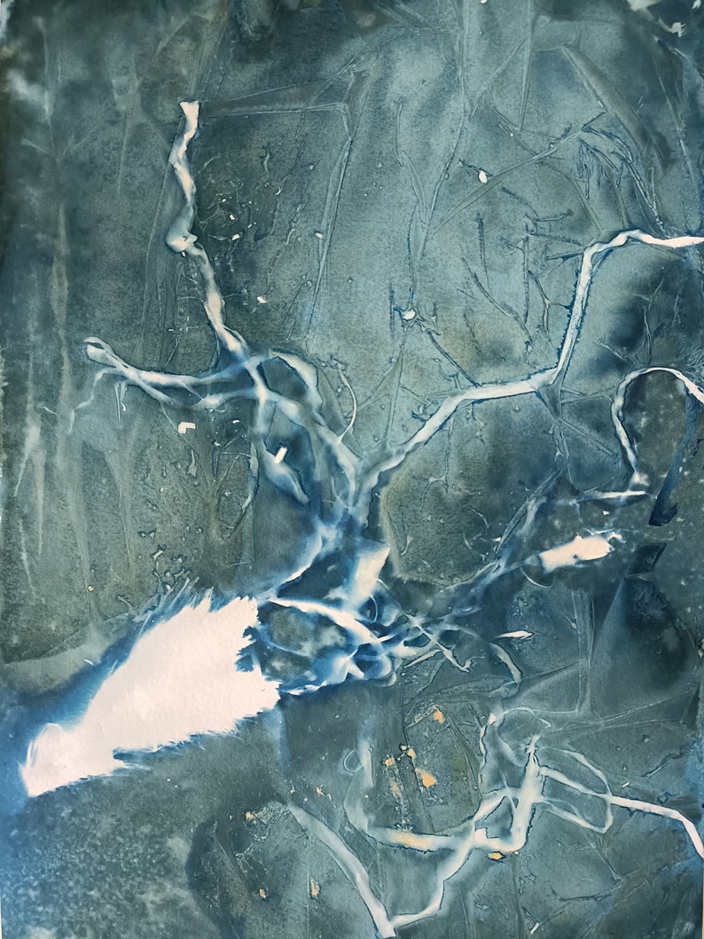 A4 Original Wet Cyanotype Print, Seaweed Wall Art Print, Cyanotype ...