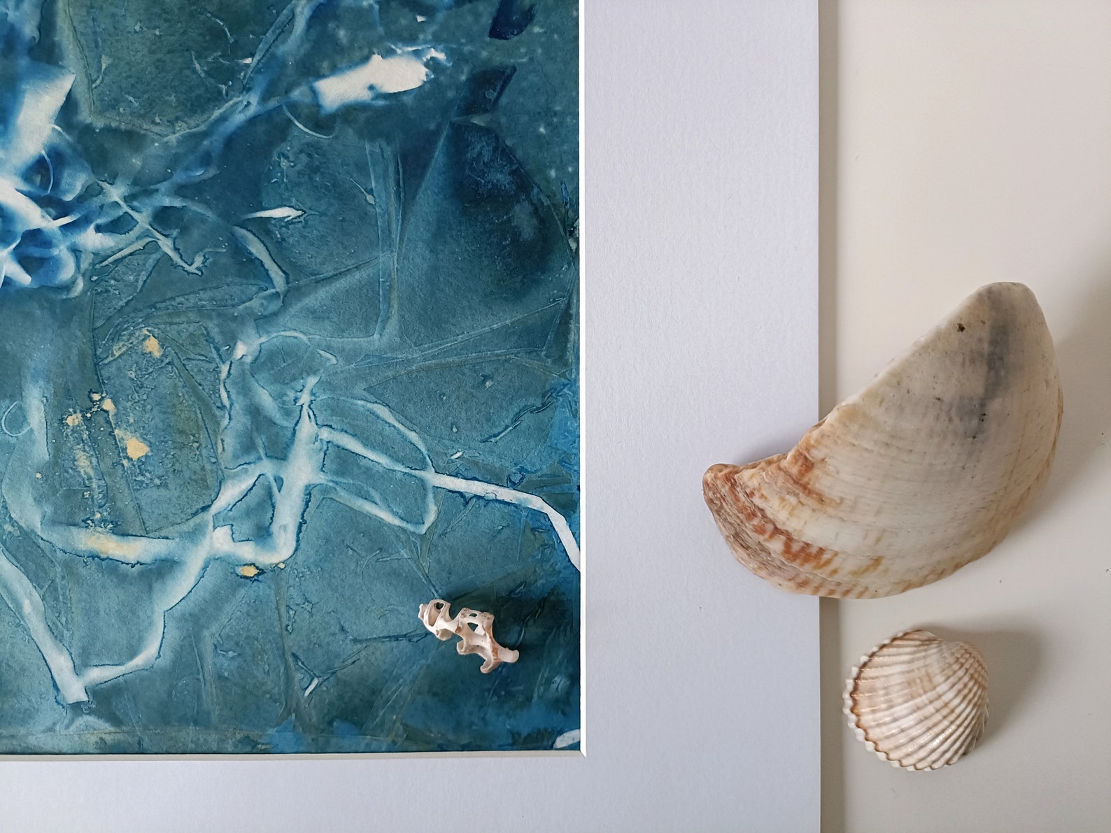 A4 Original Wet Cyanotype Print, Seaweed Wall Art Print, Cyanotype ...