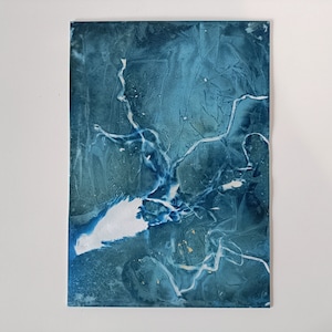 A4 Original Wet Cyanotype Print, Seaweed Wall Art Print, Cyanotype ...