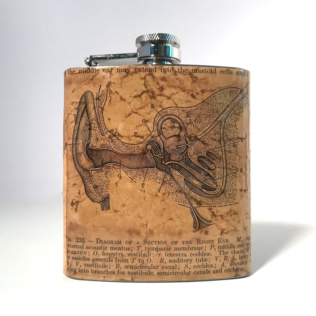 Ear Hand-collaged Flask Premium Vintage Human Anatomy, Medical ...