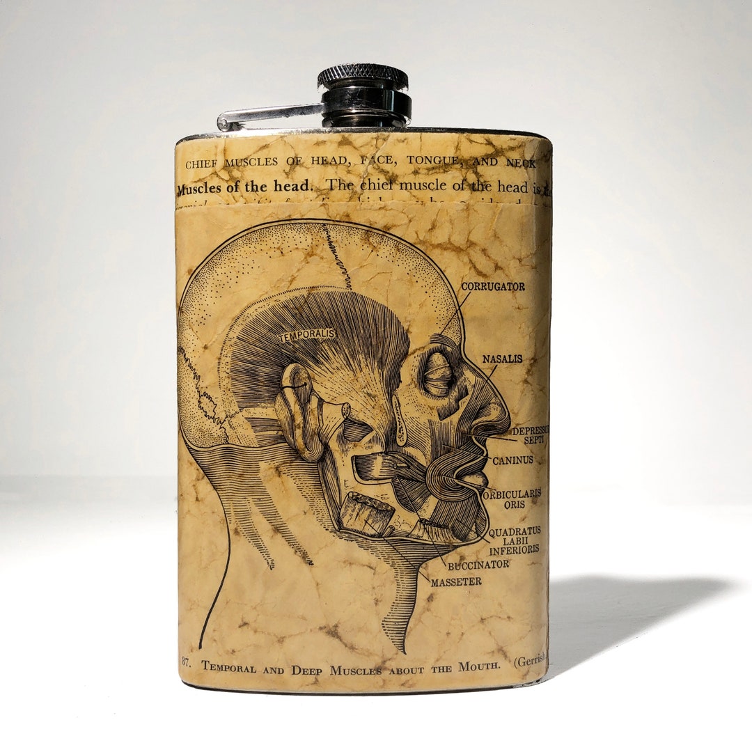 Face Muscles Hand-collaged Flask Premium Vintage Human Anatomy, Medical ...