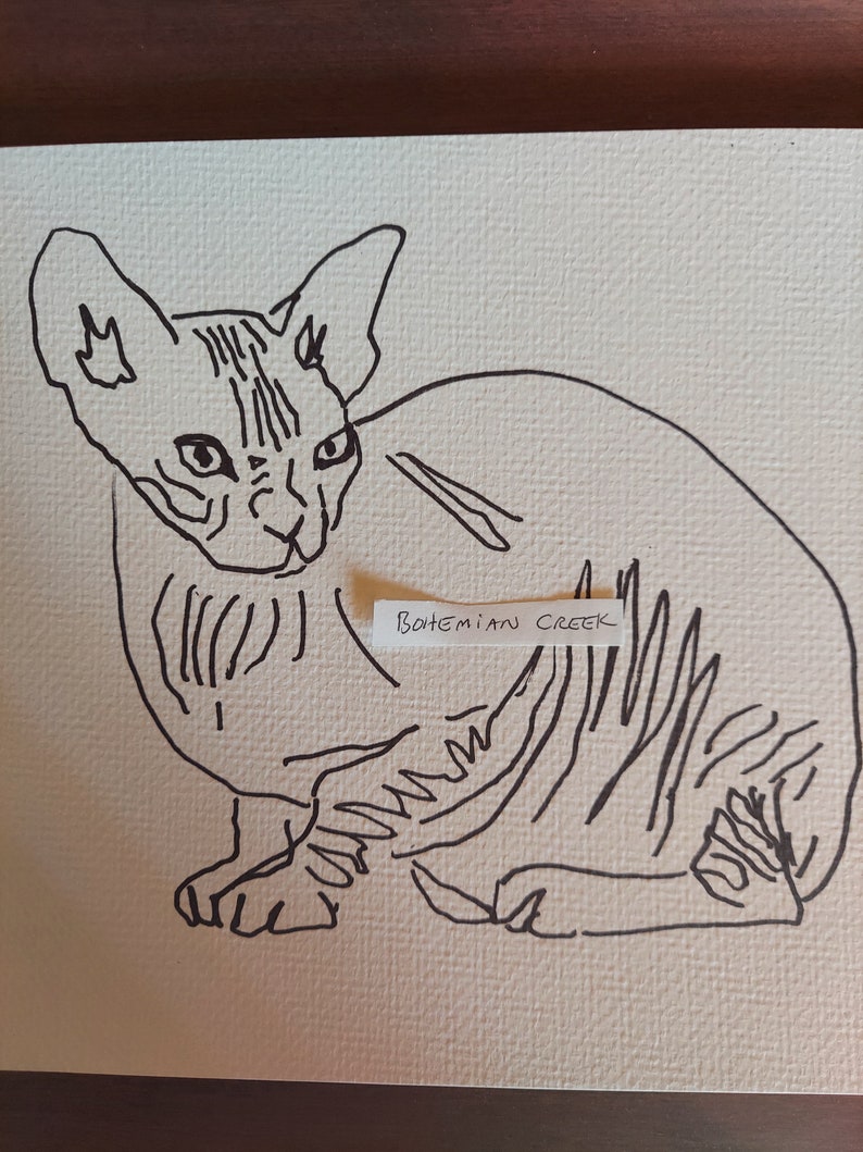 Shynx Cat Line Art, Simple Cat Drawing, Black and White Pet Portrait ...