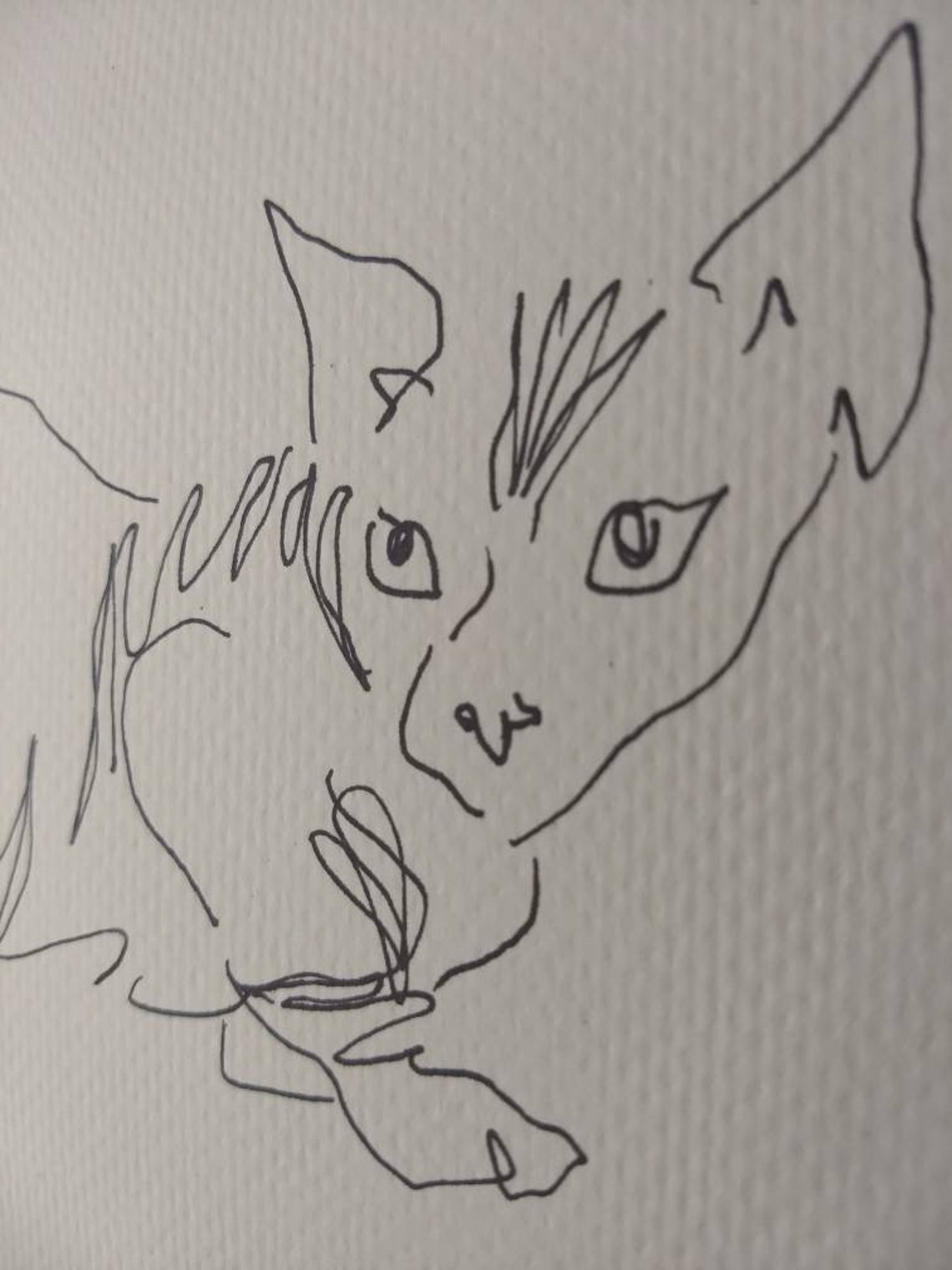 Sphynx Cat Drawing/simple Art/animal Portrait/ Pet - Etsy