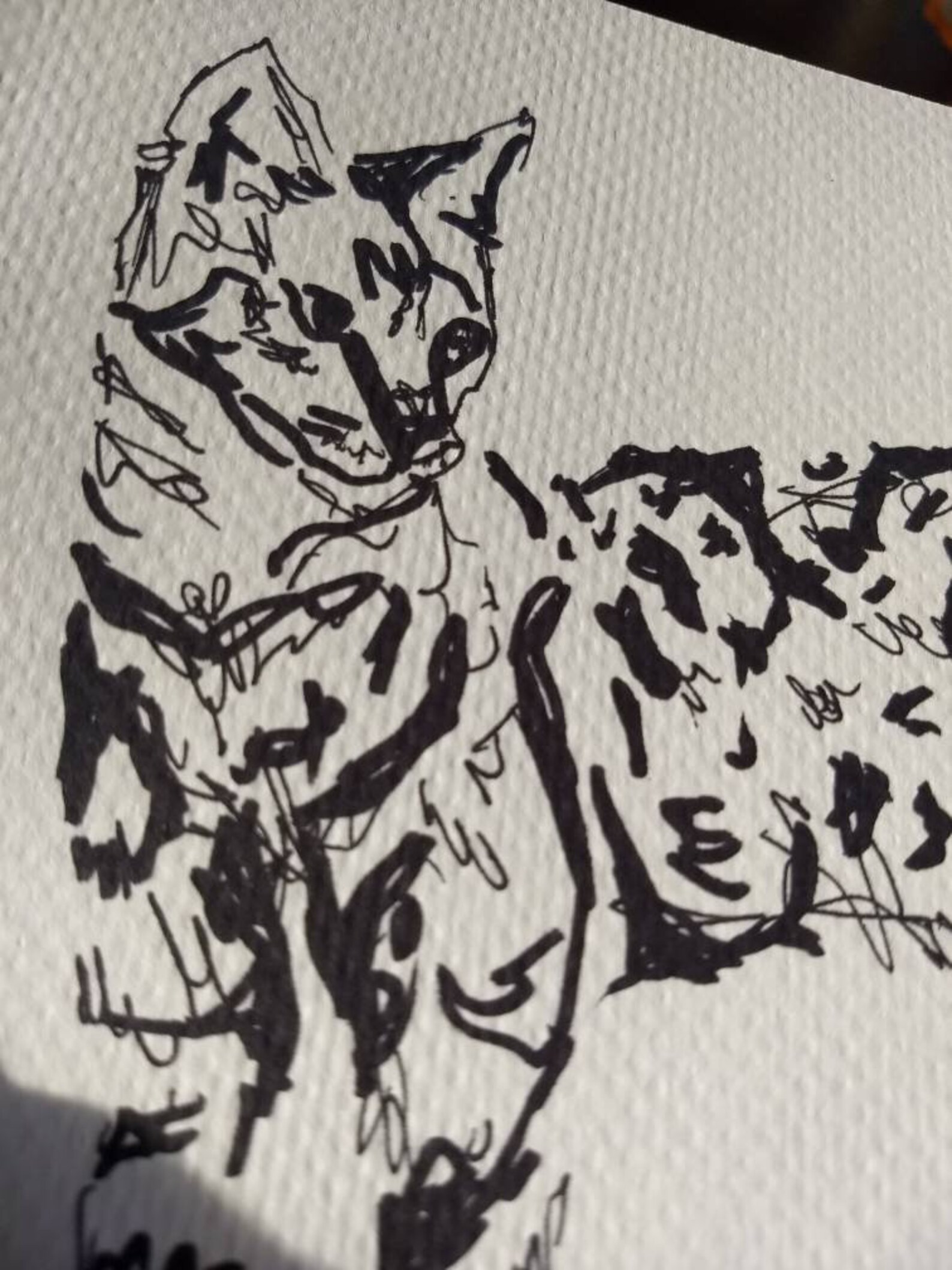 Bengal Cat Wall Art/ Pen & Ink Drawing/ Sketch/ | Etsy