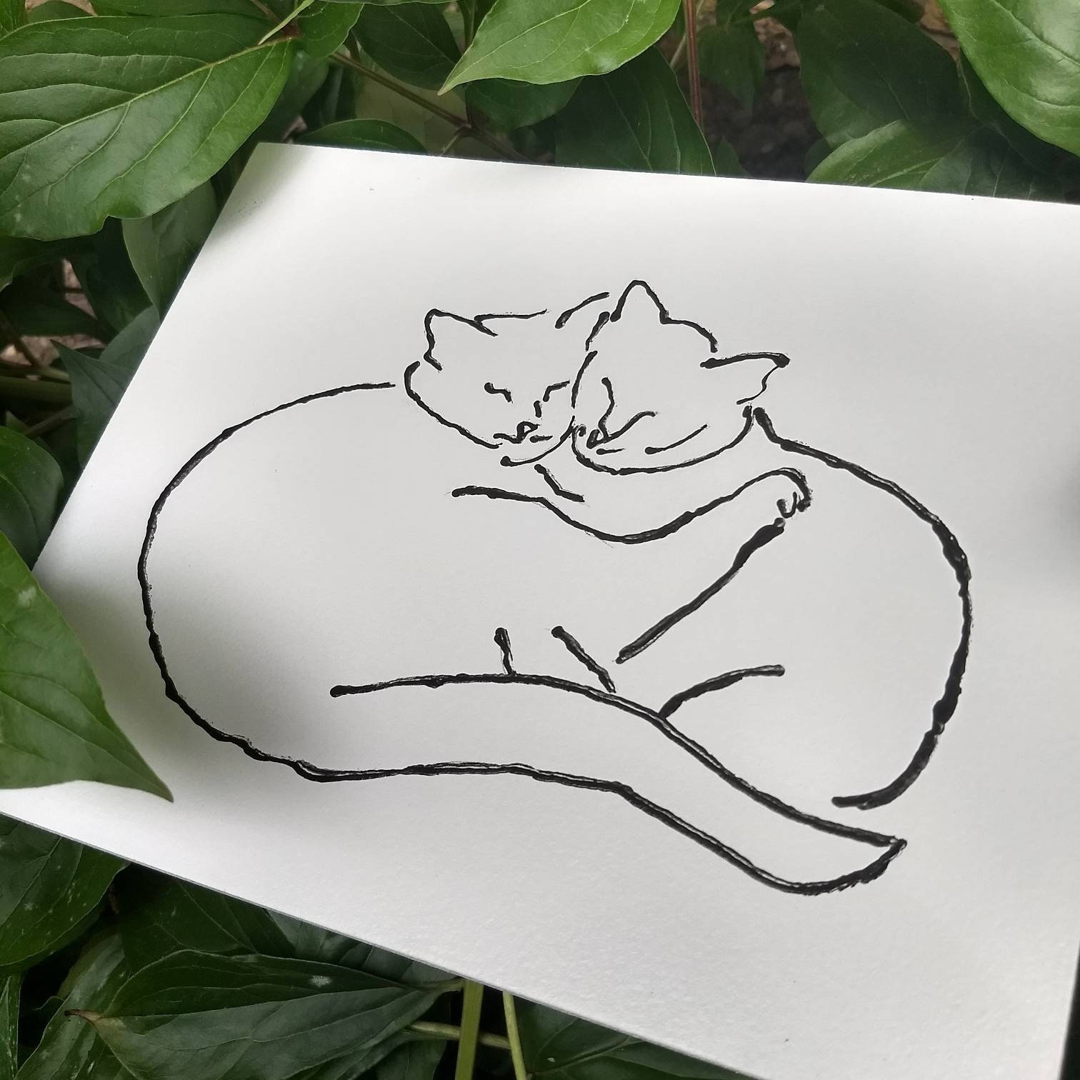 Cats Cuddling Drawing