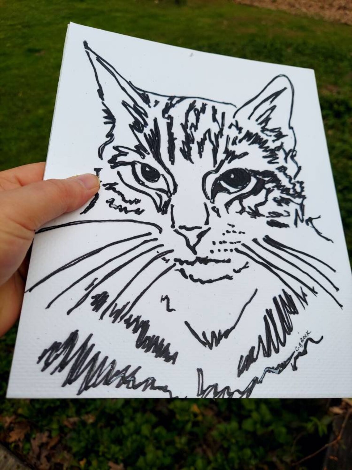 Tiger Cat Drawing/simple Animal Illustration/custom Pet Portrait ...