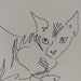 Sphynx Cat Drawing/simple Art/animal Portrait/ Pet - Etsy