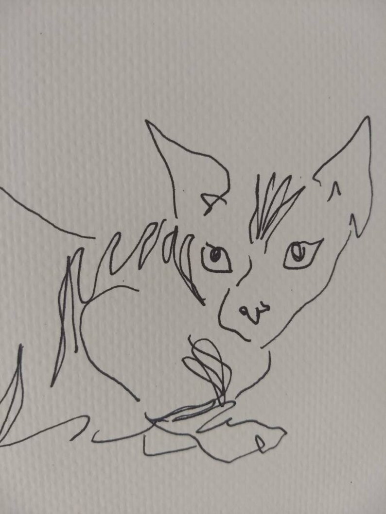 Sphynx Cat Drawing/simple Art/animal Portrait/ Pet - Etsy