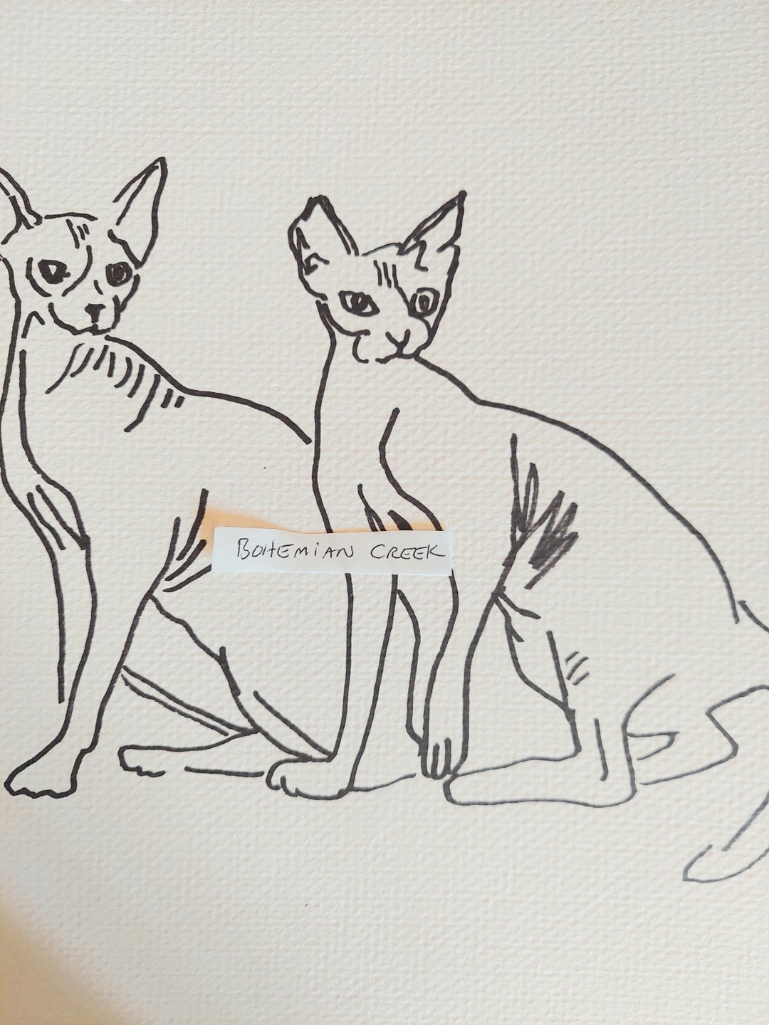 Sphynx Drawing, Hairless Cat Art, One Line Drawing, Simple Animal ...