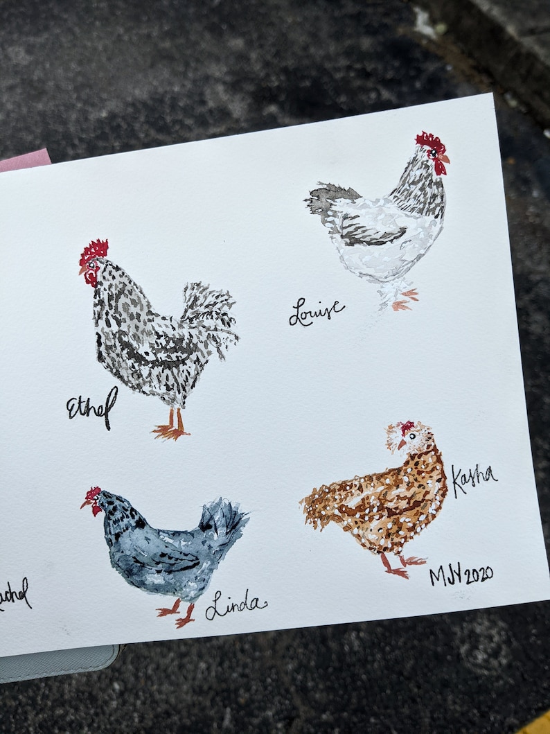 Custom Chicken Flock Portrait - Etsy