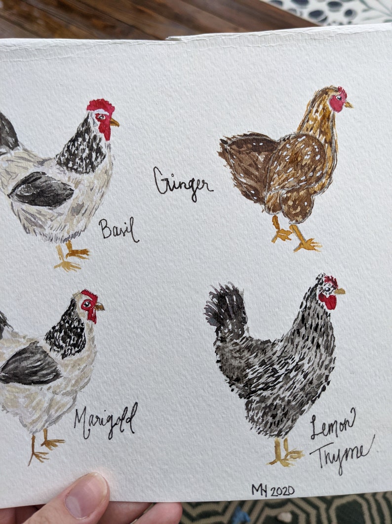Custom Chicken Flock Portrait - Etsy