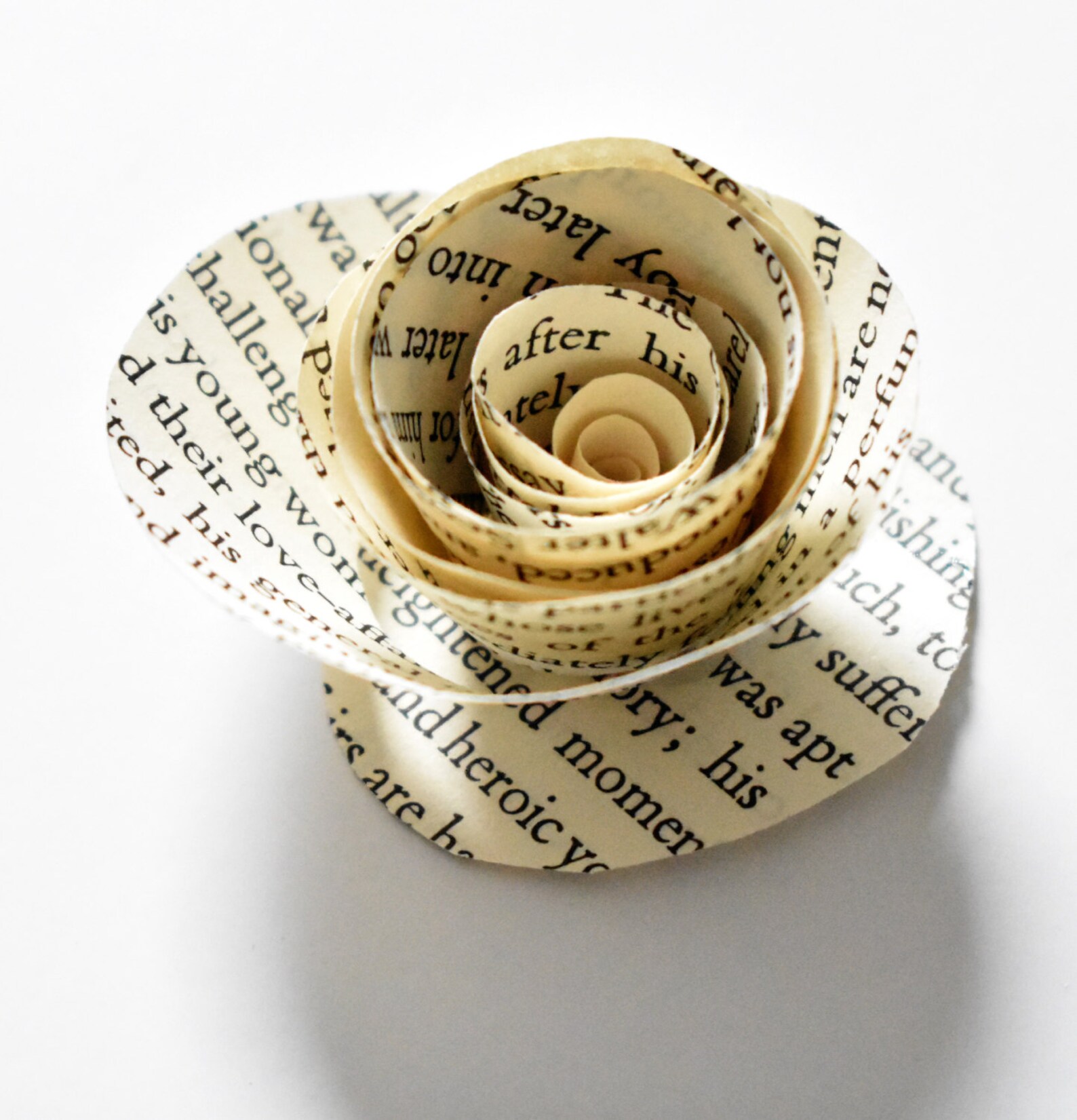 Book Page Roses Set of 12 Paper Roses Paper Flowers - Etsy