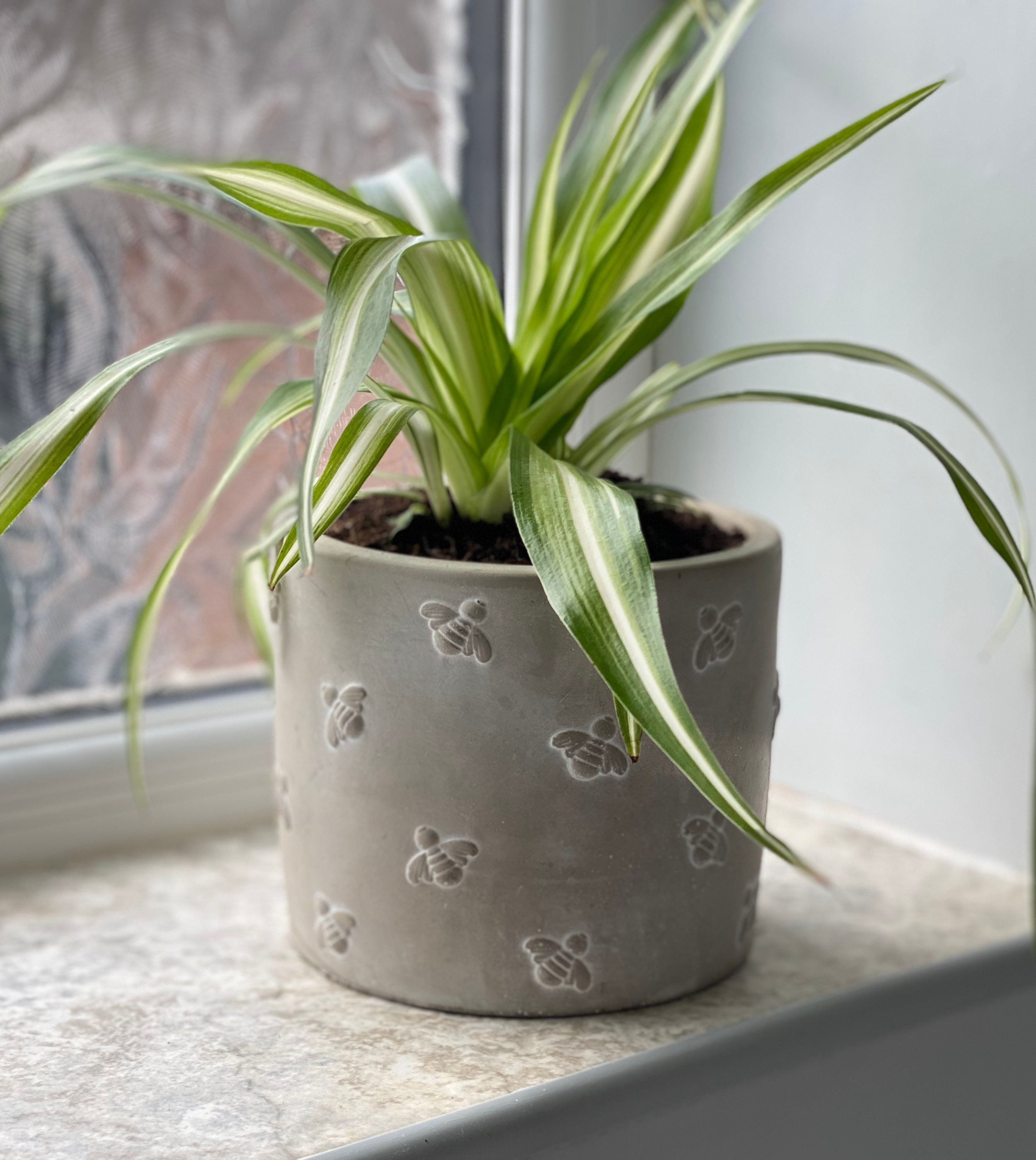 Bee Design Cement Planter Large Indoor or Outdoor Use Bee - Etsy UK