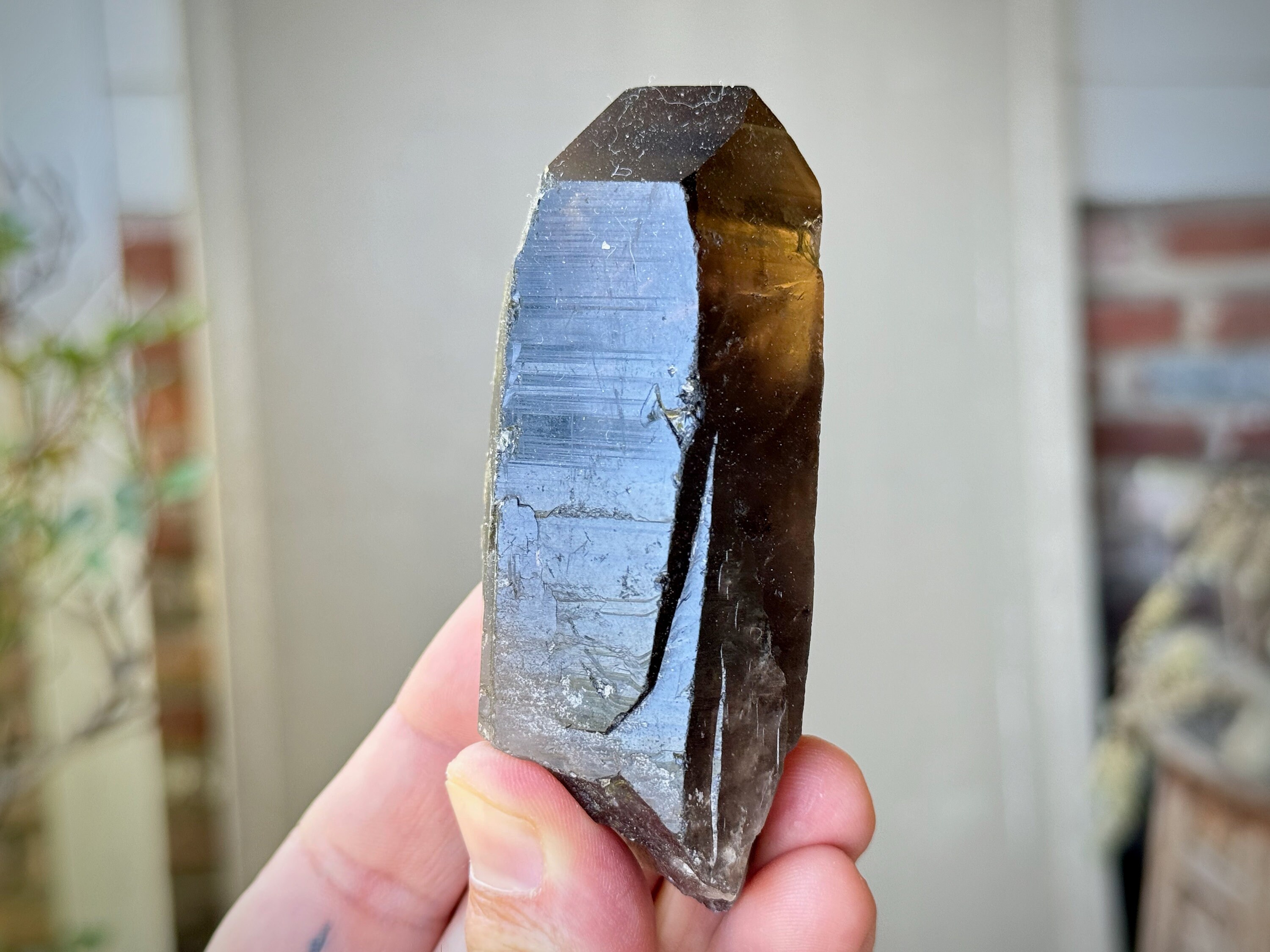 Shadow Healer Lemurian Quartz, New Find, Smoky Black Citrine Lemurian ...