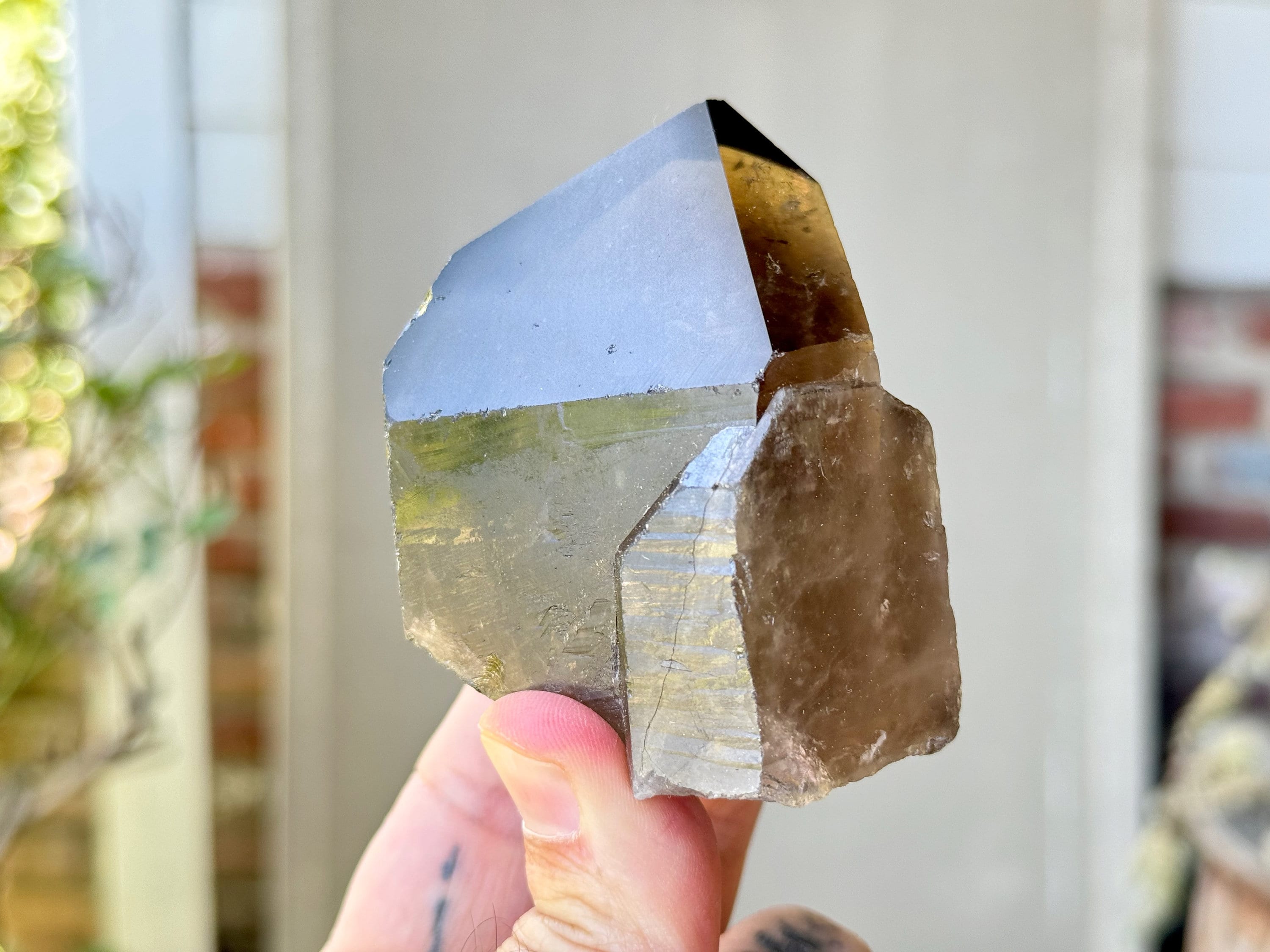 Shadow Healer Lemurian Quartz, New Find, Smoky Black Citrine Lemurian ...