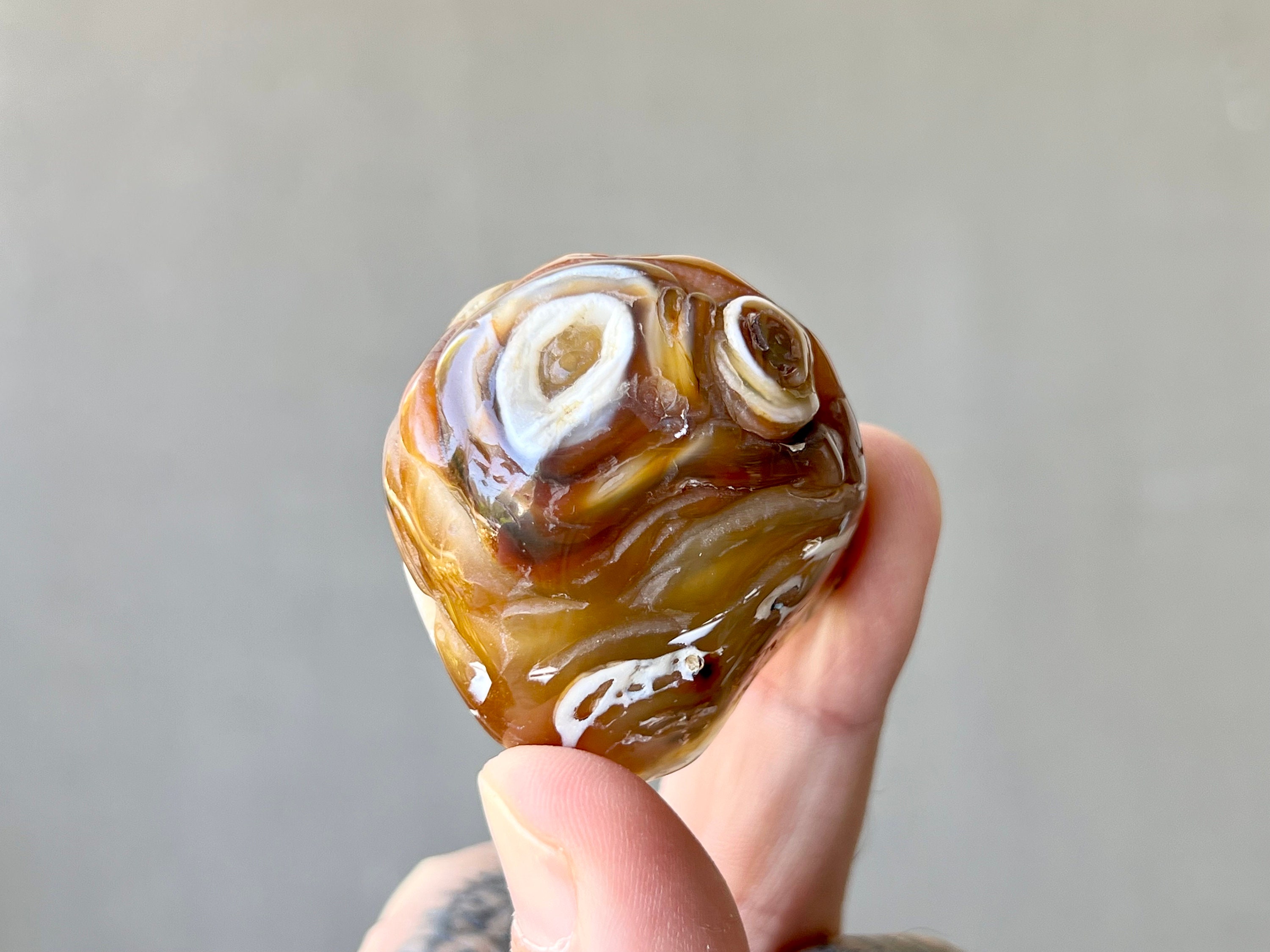 Enhydro Agate, Rare Find, Ocean Agate with Ancient Moving Water, Earth ...