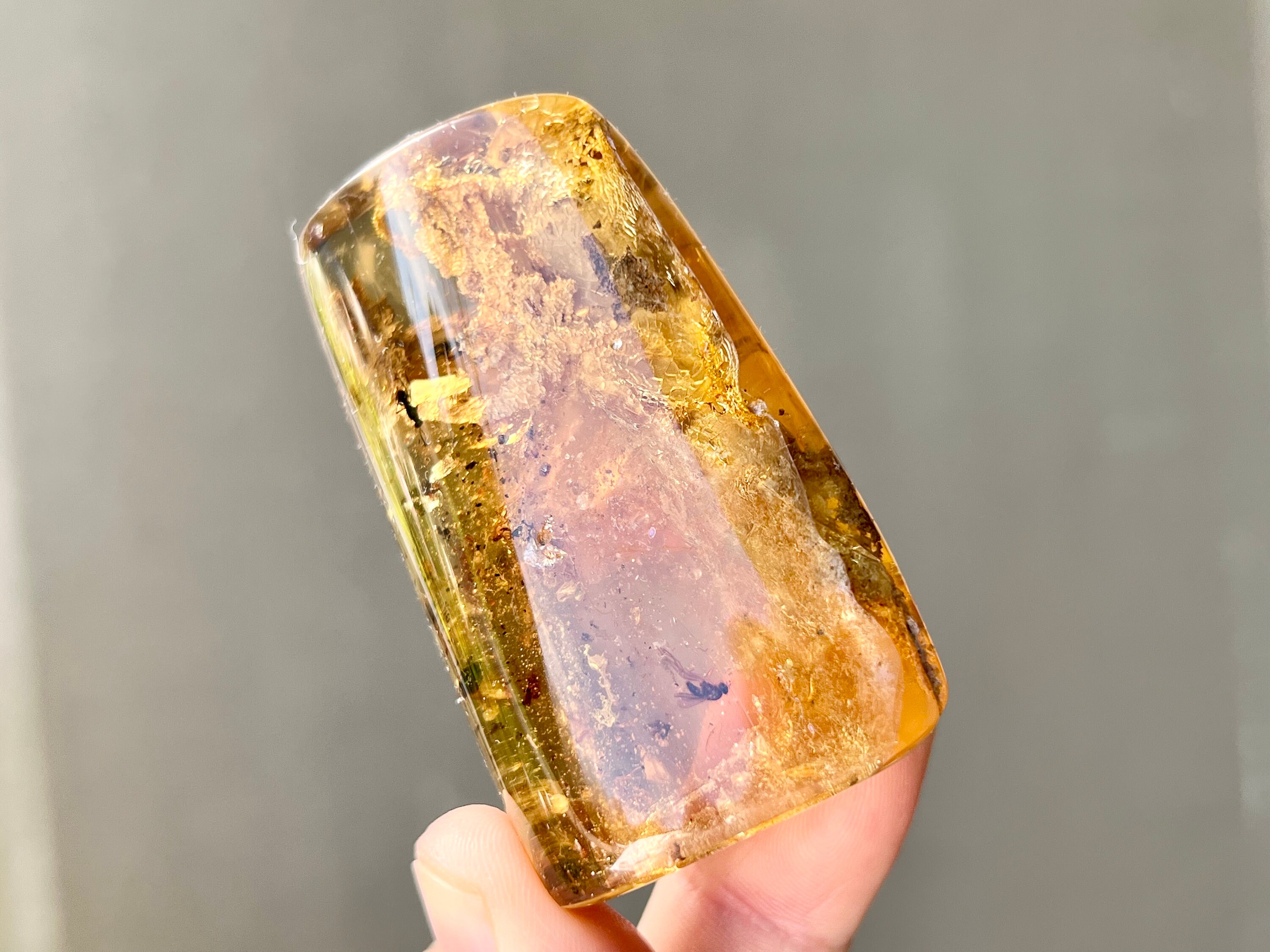 Colombian Copal Amber Crystal with Multiple Fossilized Insects and Rich ...