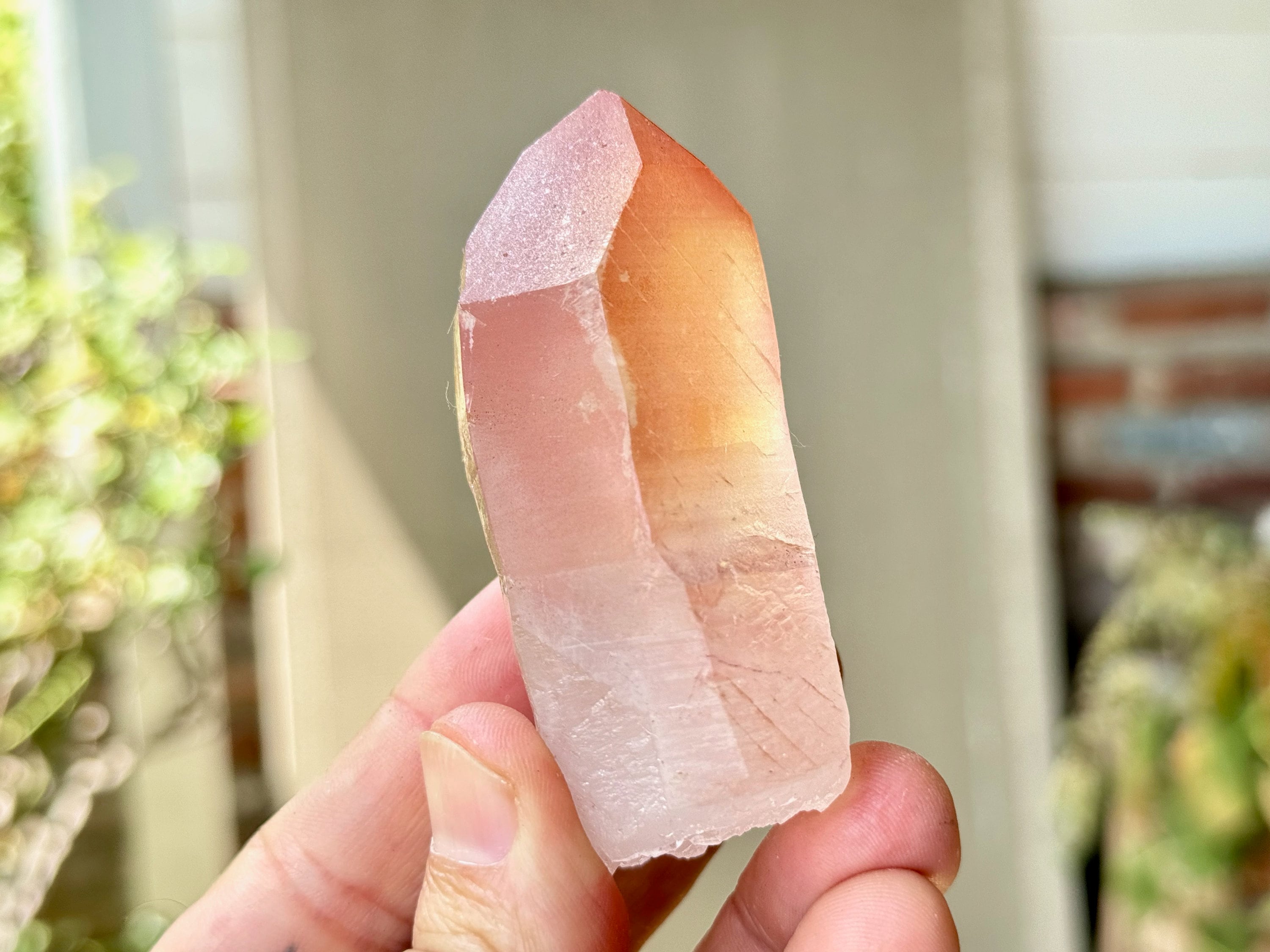 Pink Scarlet Temple Lemurian Quartz, Rare Dow Formation, New Find (2024 ...